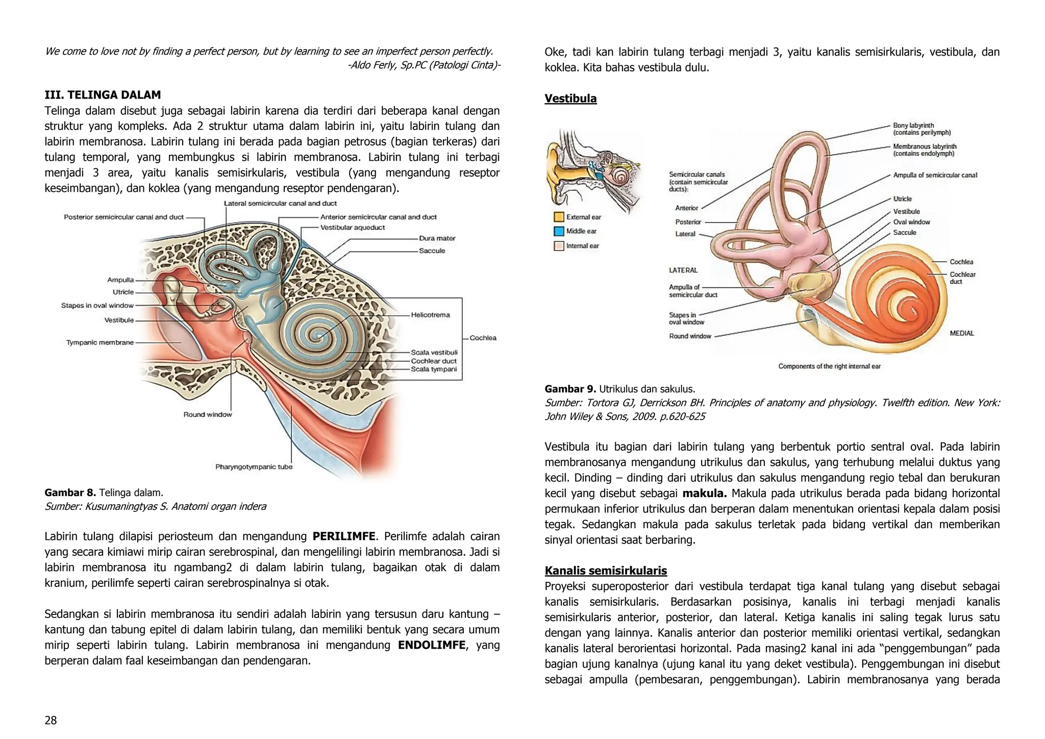 T-02 Anatomi Pendengaran definisi dan patofisiologi | PDF