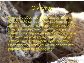 Tα ζώα υπό εξαφάνιση της ελλάδας | PPT