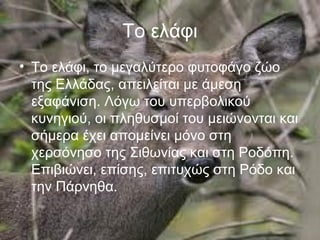 Tα ζώα υπό εξαφάνιση της ελλάδας | PPT