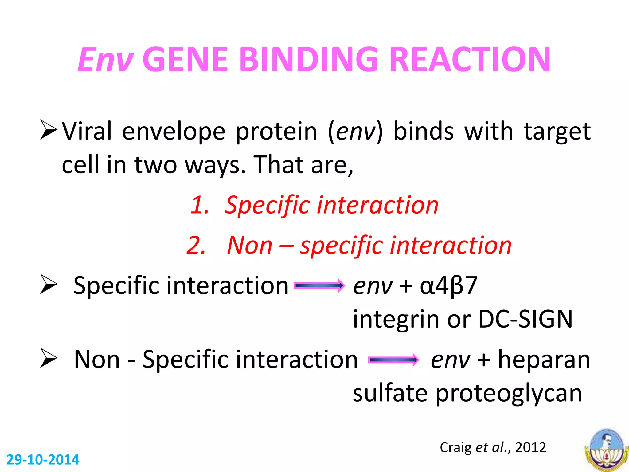HIV-1 PATHOGENESIS AND GENETIC FORMS | PPT