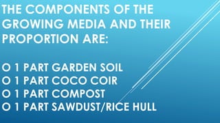 GROWING MEDIA PREPARATION (HORTICULTURE 10) | PPTX