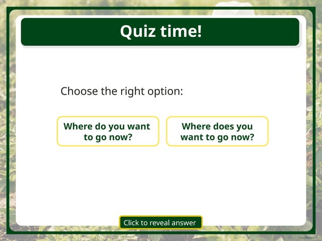 t-1714130558-esl-present-simple-continuous-questions-quiz-adults-a2_ver_3.pptx