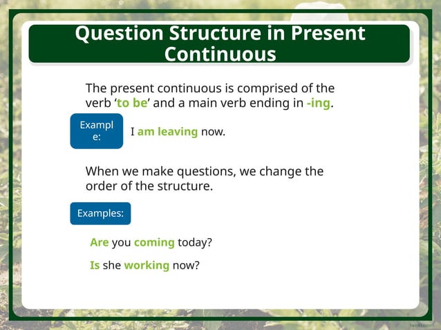 t-1714130558-esl-present-simple-continuous-questions-quiz-adults-a2_ver_3.pptx