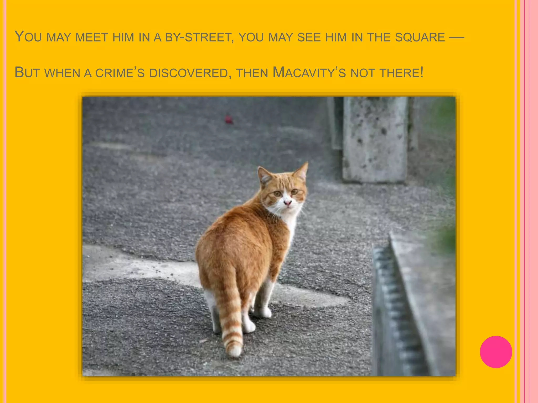Poem 4 Macavity the mystery cat - T.S.Eliot | PPTX