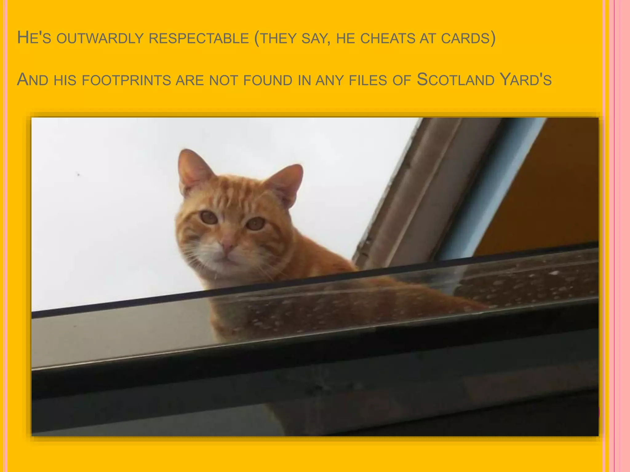 Poem 4 Macavity the mystery cat - T.S.Eliot | PPTX