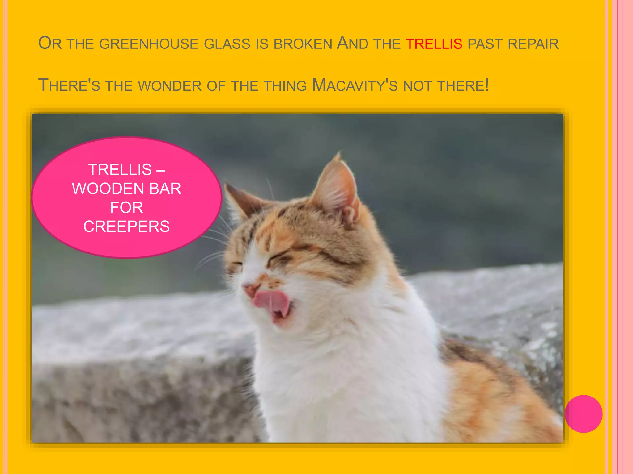 Poem 4 Macavity the mystery cat - T.S.Eliot | PPTX