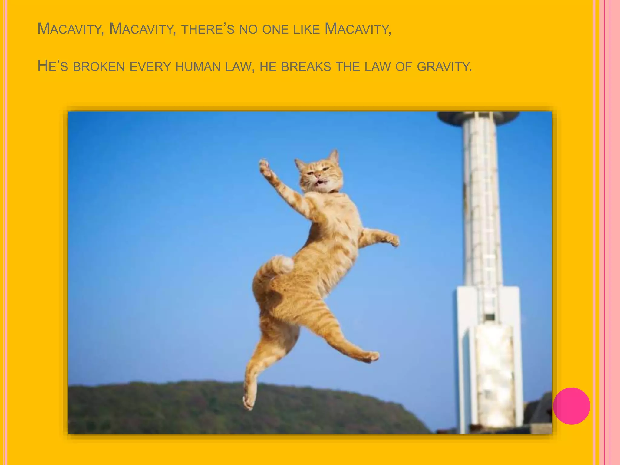 Poem 4 Macavity the mystery cat - T.S.Eliot | PPTX