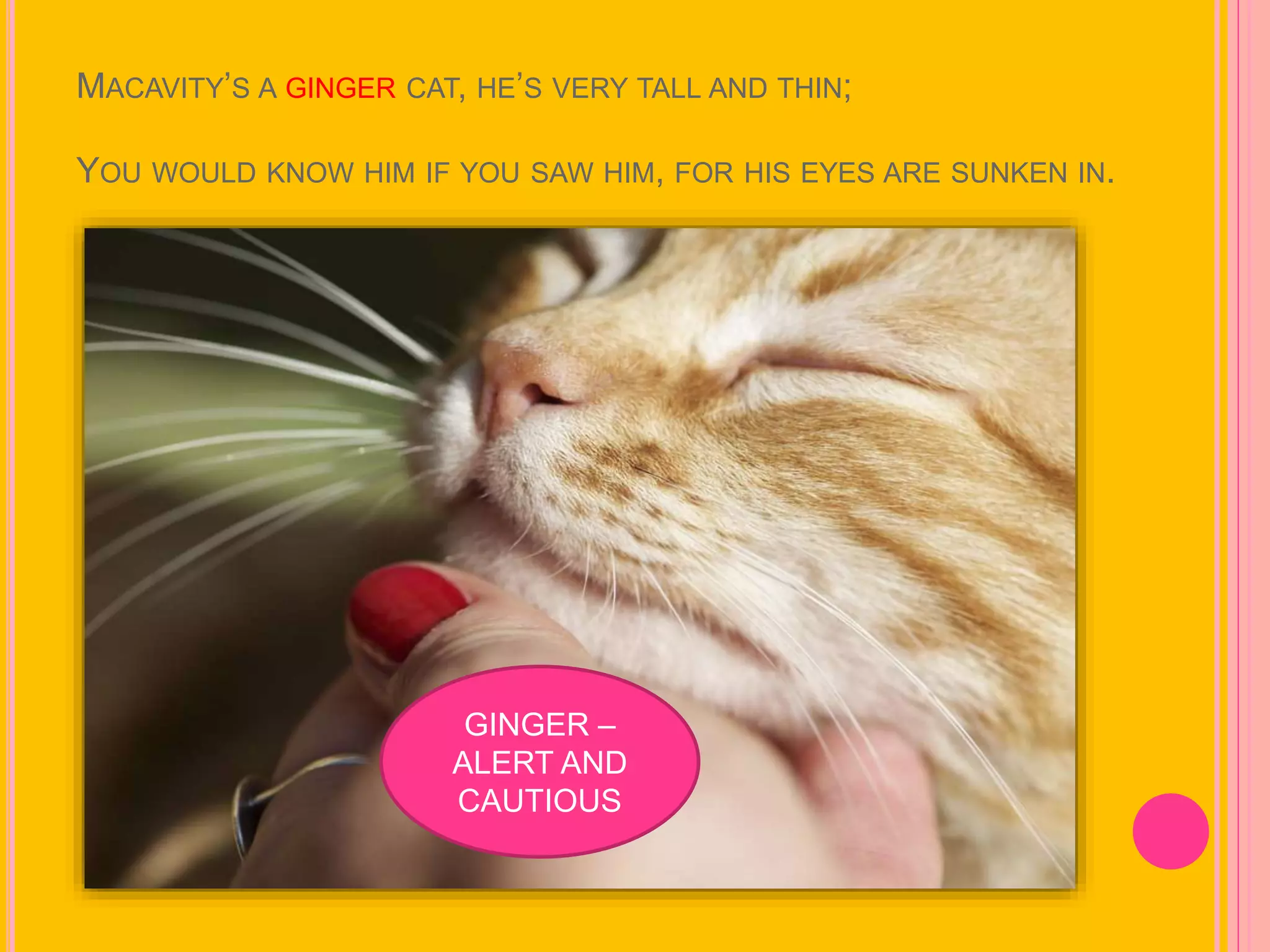 Poem 4 Macavity the mystery cat - T.S.Eliot | PPTX