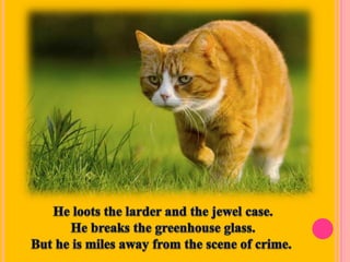 Poem 4 Macavity the mystery cat - T.S.Eliot | PPTX