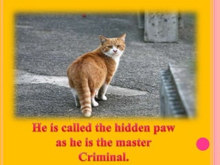 Poem 4 Macavity the mystery cat - T.S.Eliot | PPTX