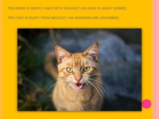 Poem 4 Macavity the mystery cat - T.S.Eliot | PPTX