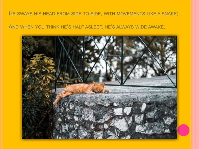 Poem 4 Macavity the mystery cat - T.S.Eliot | PPTX