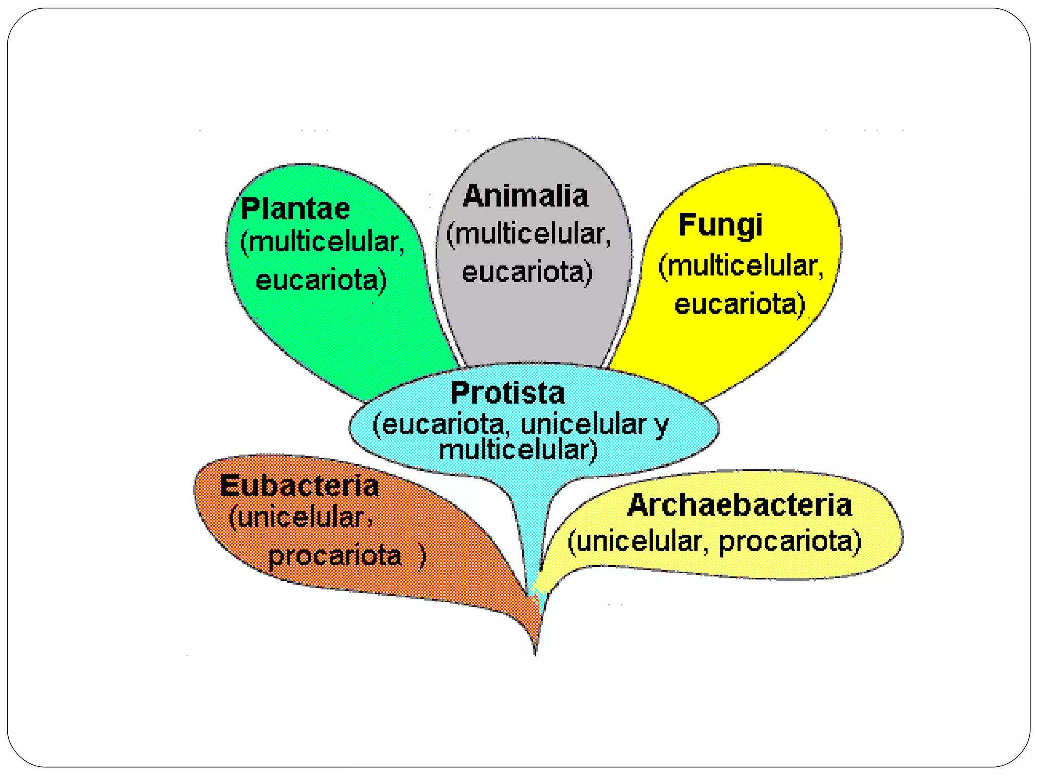 T.2. diversidad del_mundo_microbiano | PPT