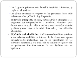 T.2. diversidad del_mundo_microbiano | PPT