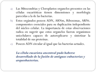 T.2. diversidad del_mundo_microbiano | PPT