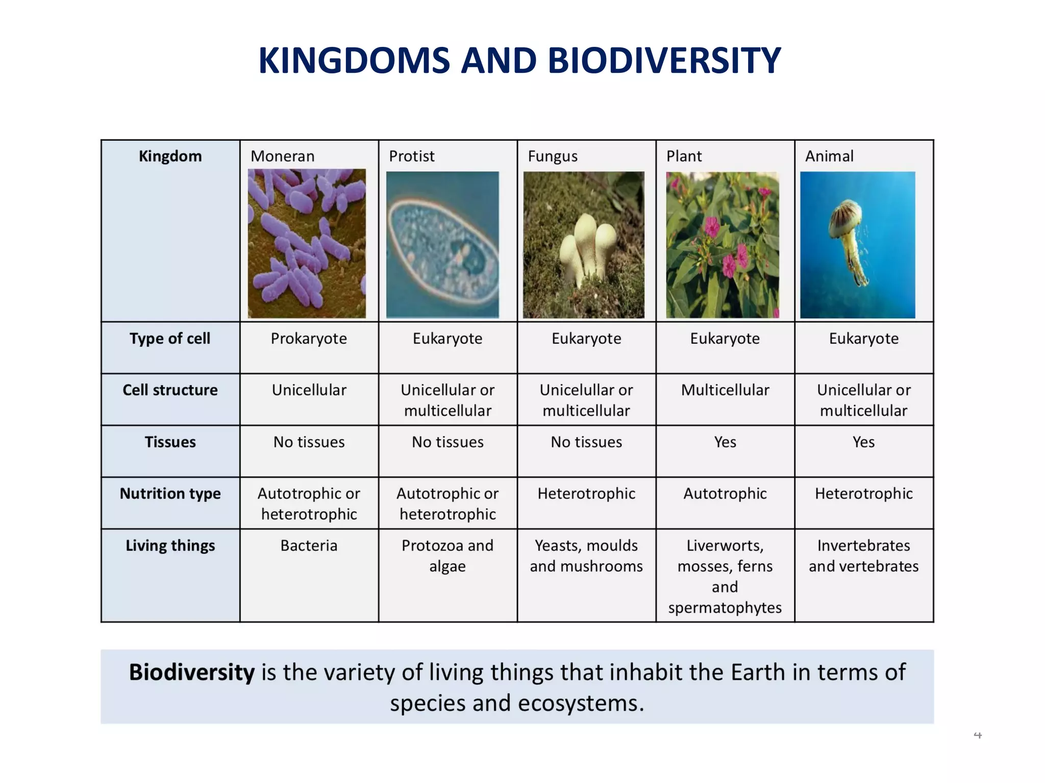 T.7 Classification of living things. Microorganisms | PPT