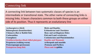 organic evolution evidences | PPTX