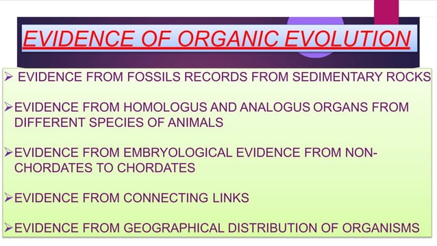 organic evolution evidences | PPTX | Geology | Science