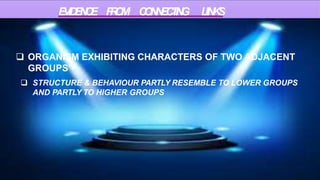 organic evolution evidences | PPTX