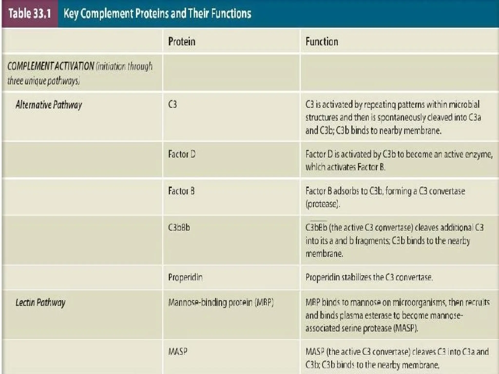 T.Y. MB-502, UNIT-1.en.gu.pptx basic of imunology | PPTX
