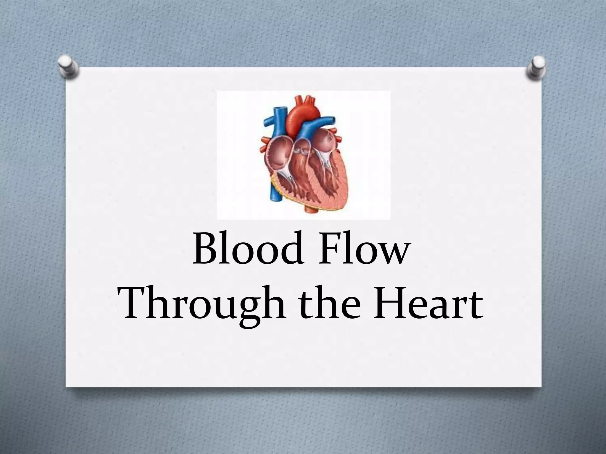 Blood Flow Through the Heart | PPTX