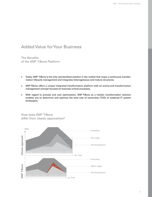 T bone brochure en(1) | PDF