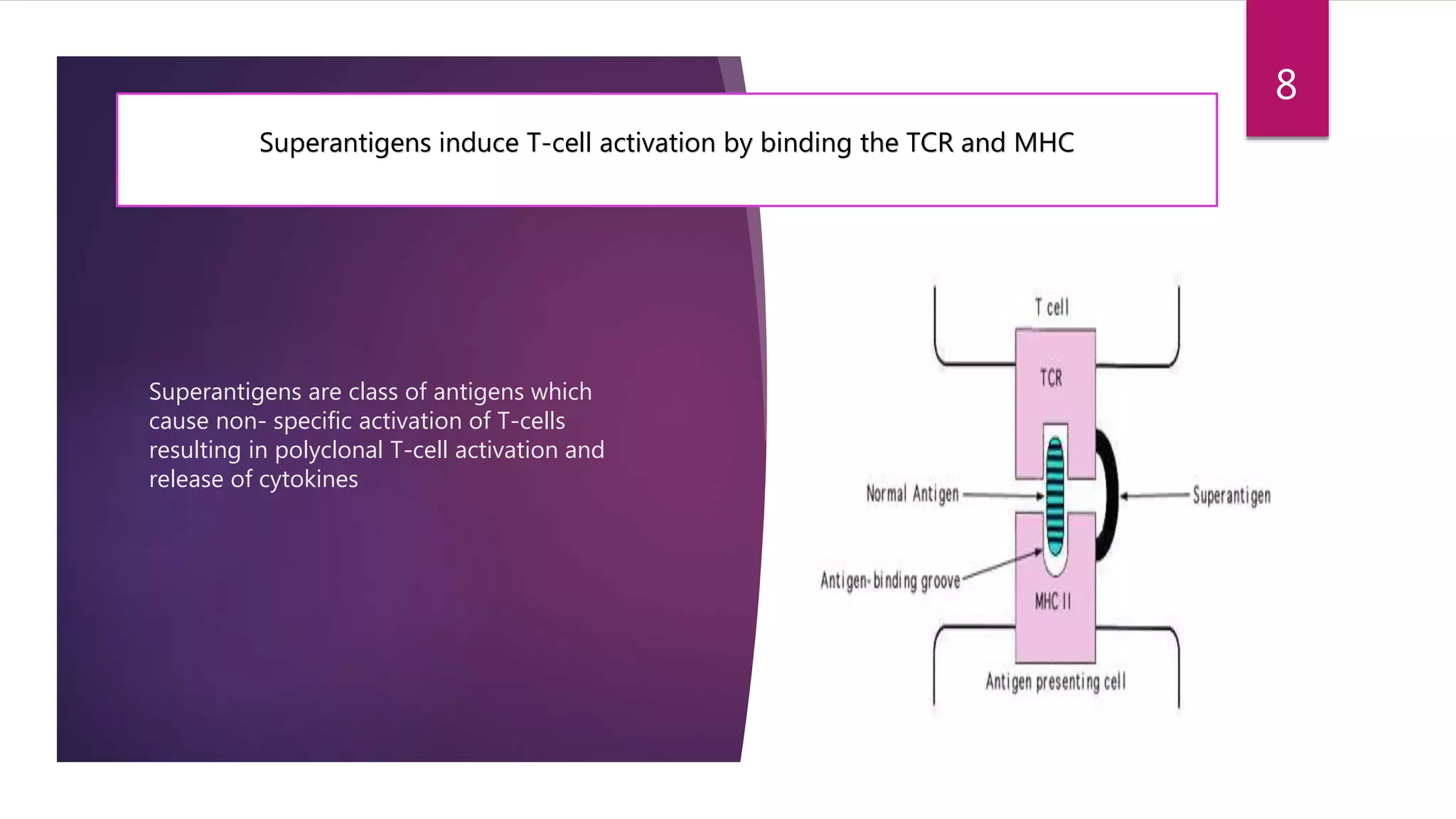 T and B cell activation | PPTX