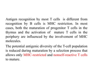 T-Cell Development.pdf