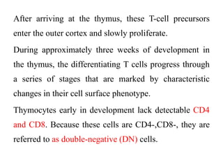 T-Cell Development.pdf