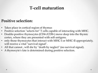 T-lymphocytes and generation | PPTX