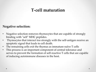 T-lymphocytes and generation | PPTX