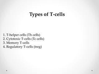 T-lymphocytes and generation | PPTX