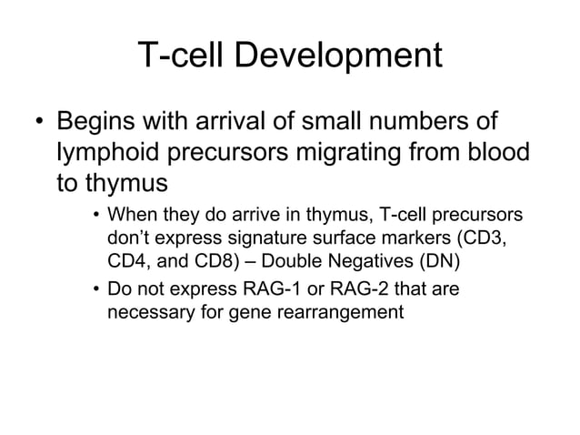 T cell development, maturation, activation and differentiation | PPTX