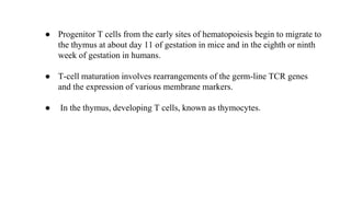 t-cell maturation and thymus.pptx
