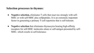t-cell maturation and thymus.pptx