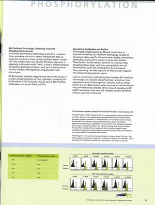 BD Flow Cytometry: T-Cell Research Brochure | PDF | Biotech and ...