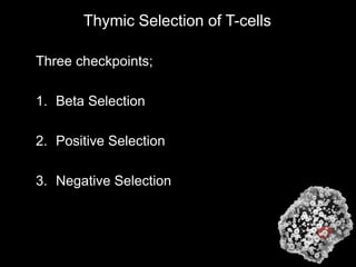T-Cells.pptx