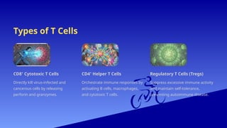 T-Cells-and-B-Cells,The Adaptive Immune System | PPTX