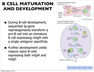 T cells and b-cells | PDF