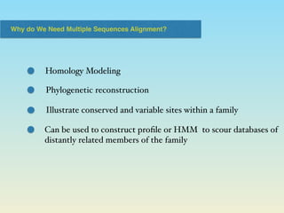 T coffee algorithm dissection | PDF