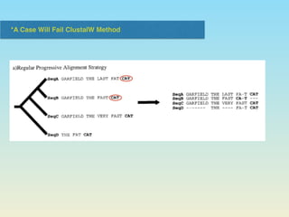 T coffee algorithm dissection | PDF