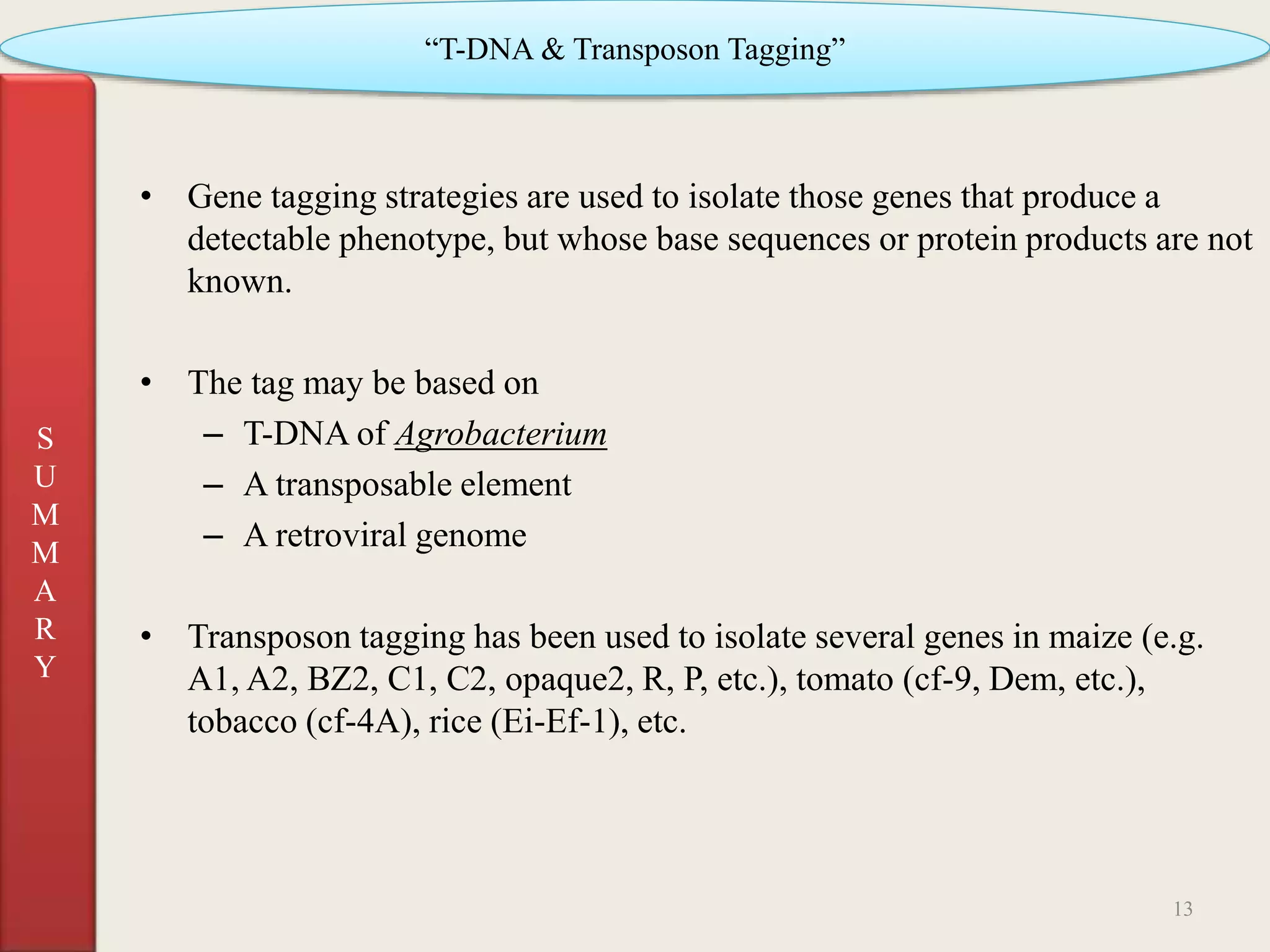 T dna & transposone tagging 1 (2) | PPTX