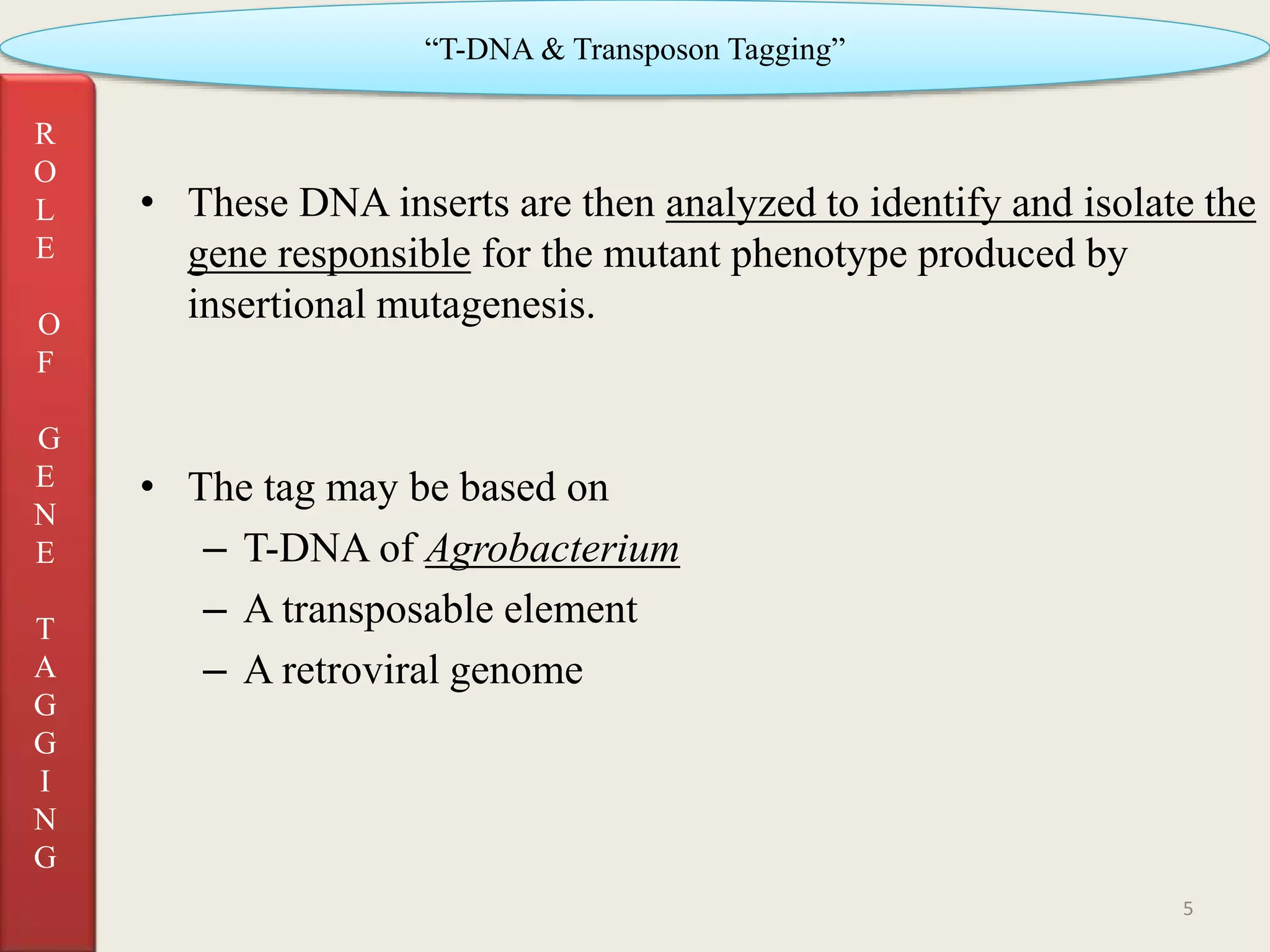 T dna & transposone tagging 1 (2) | PPTX