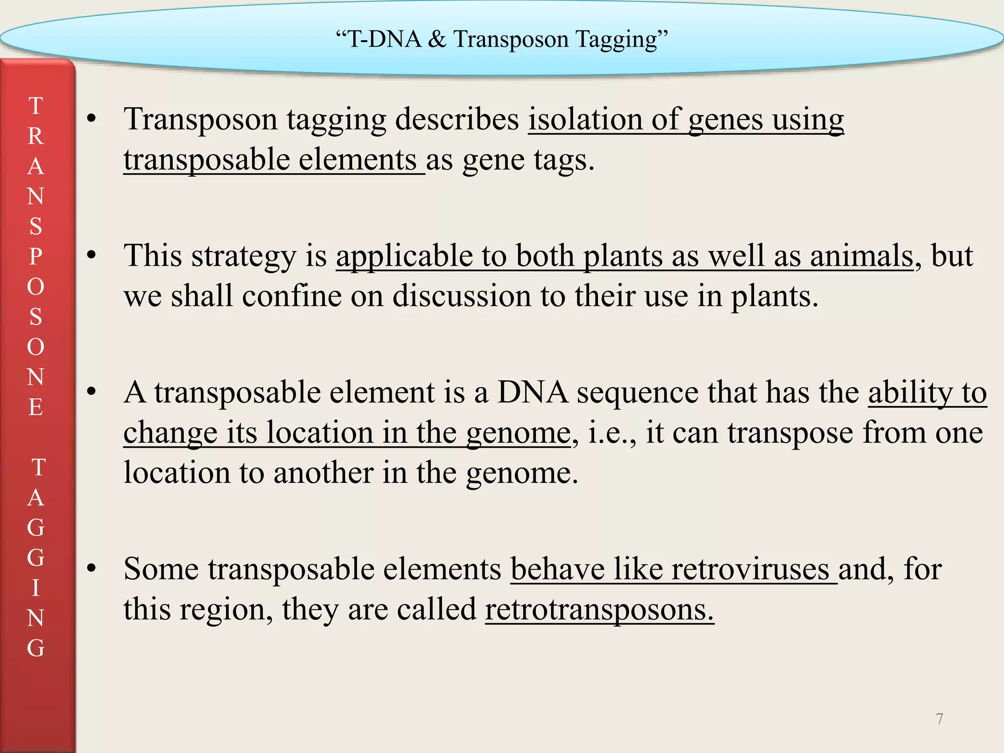 T dna & transposone tagging 1 (2) | PPTX