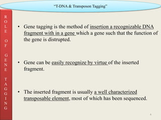 T dna & transposone tagging 1 (2) | PPTX