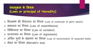 T - Heredity and Enivronment | PPTX