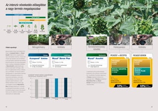 Napraforgó-technológia 2019 | PDF