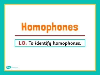 T-L-3607-Homophones-PowerPoint.ppt