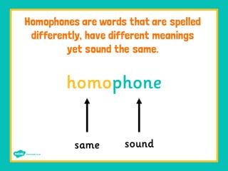T-L-3607-Homophones-PowerPoint.ppt