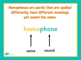 T-L-3607-Homophones grade 1 -PowerPoint.ppt